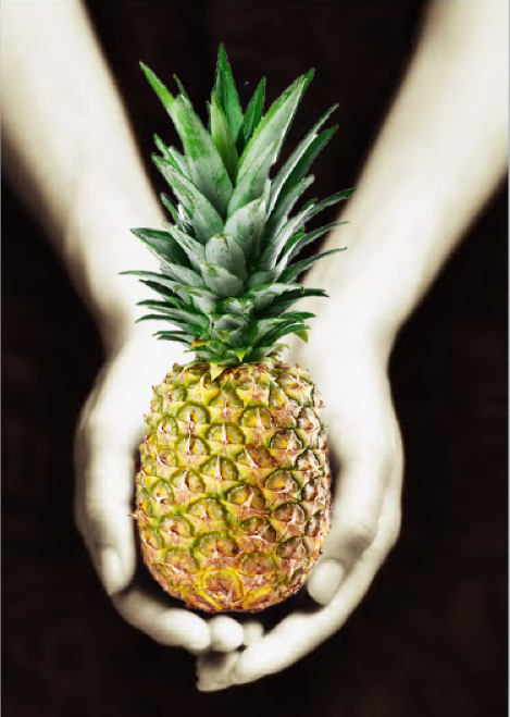 The Twilight Pineapple | Evelyn Silver